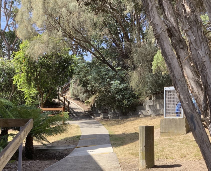 Don College - High-School-Australia