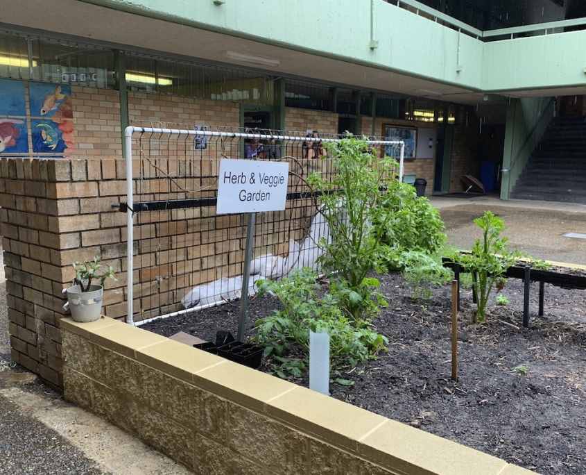 Engadine High School - High-School-Australia