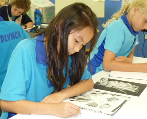 Redlynch State College - High-School-Australia