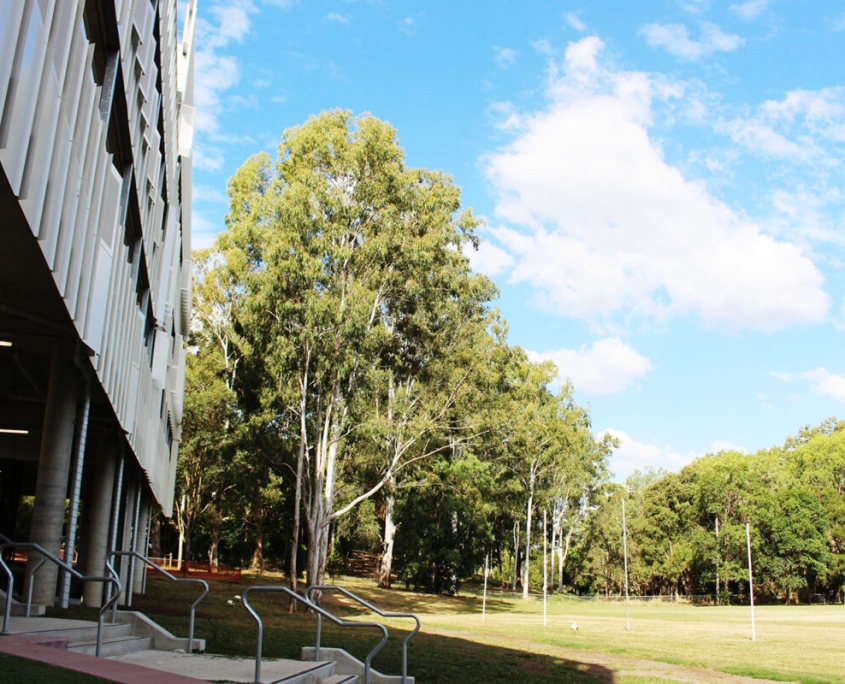 Indooroopilly State High School - High-School-Australia